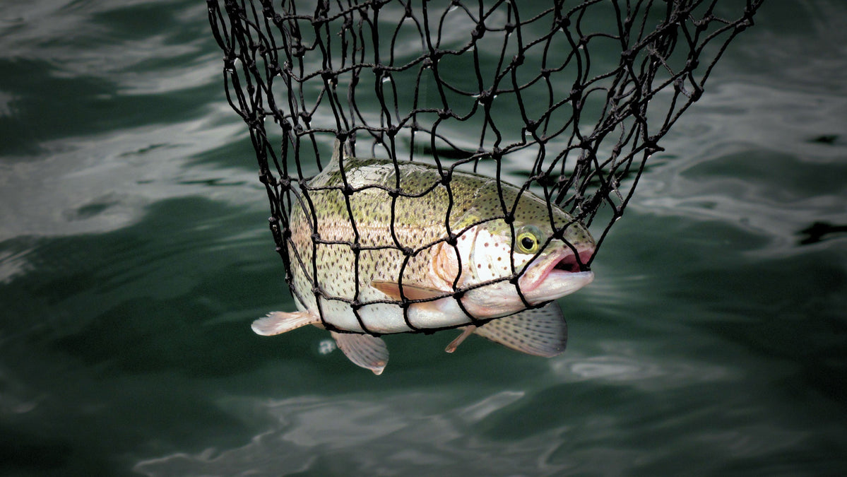 Brooks: Trolling Techniques for Trout — Mack’s Lure Tackle