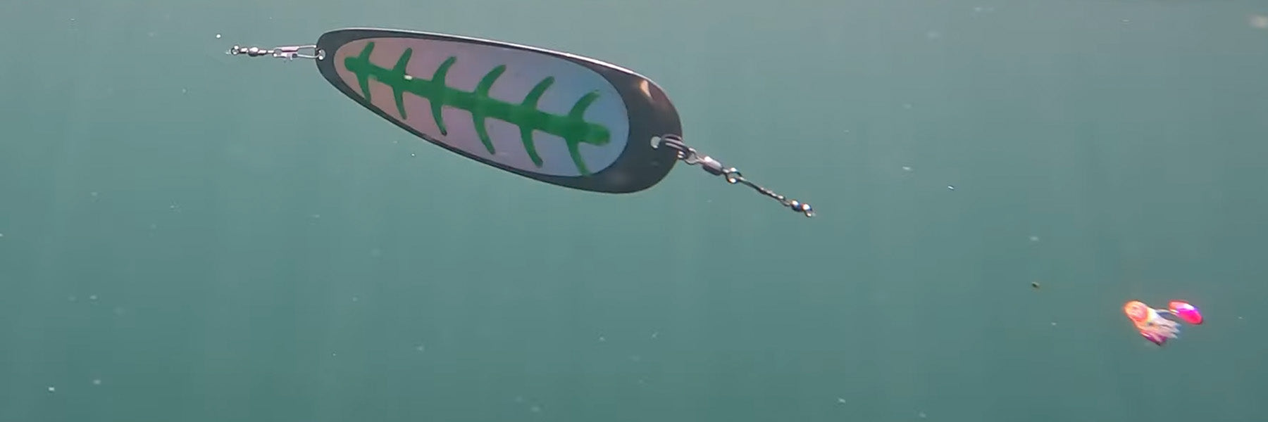 Unlocking Kokanee Secrets: Underwater Footage — Mack’s Lure Tackle