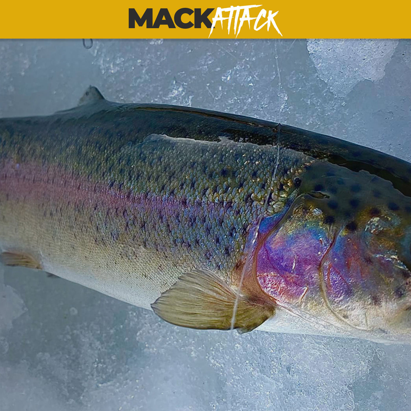 Official Home — Mack’s Lure Tackle
