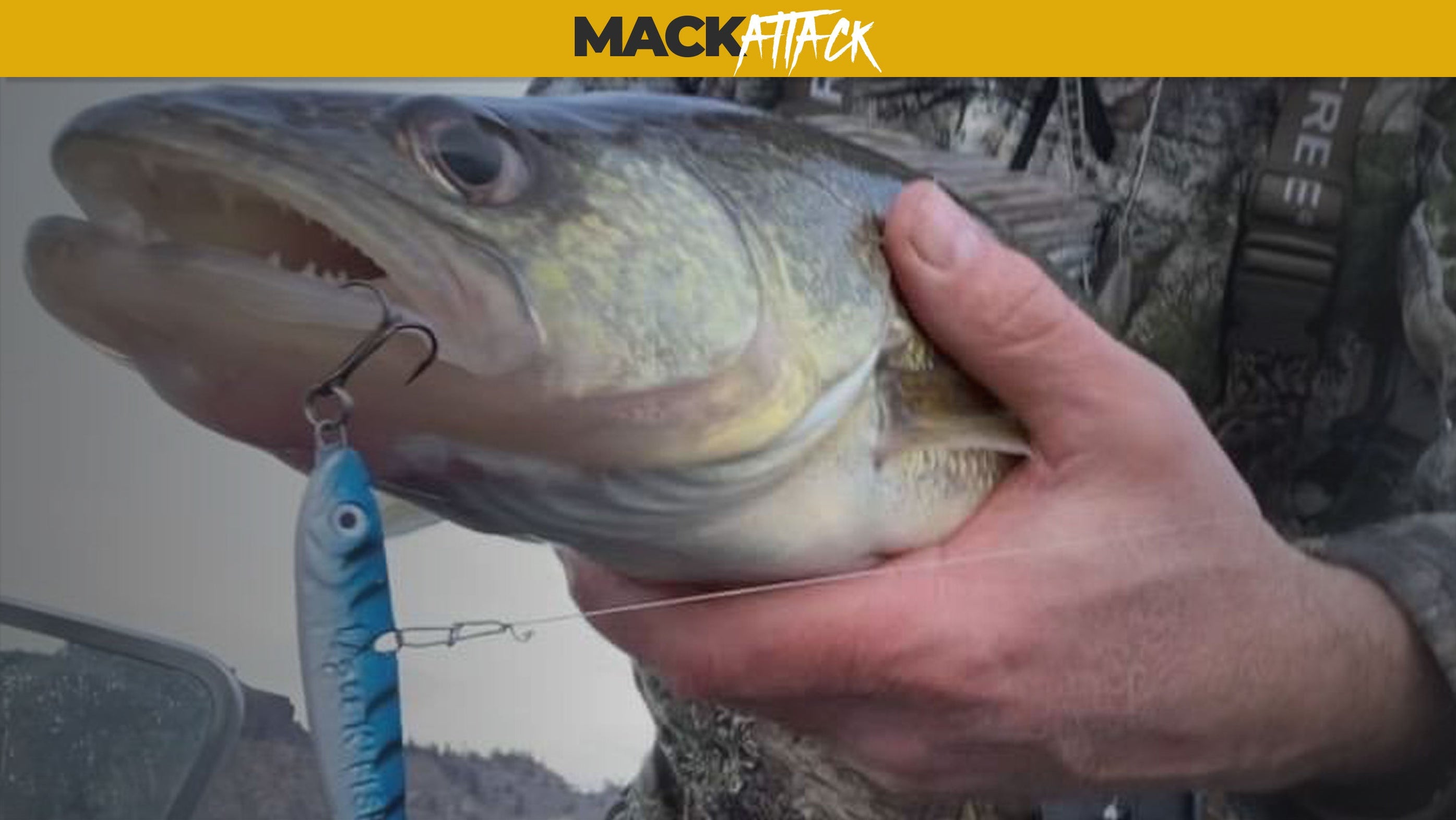 Sonic BaitFish Tips: Open Water Winter Time Jigging — Mack’s Lure Tackle