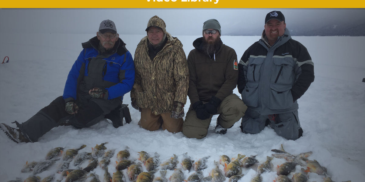 NWO: Ice Fishing for Lake Cascade Giant Perch — Mack’s Lure Tackle