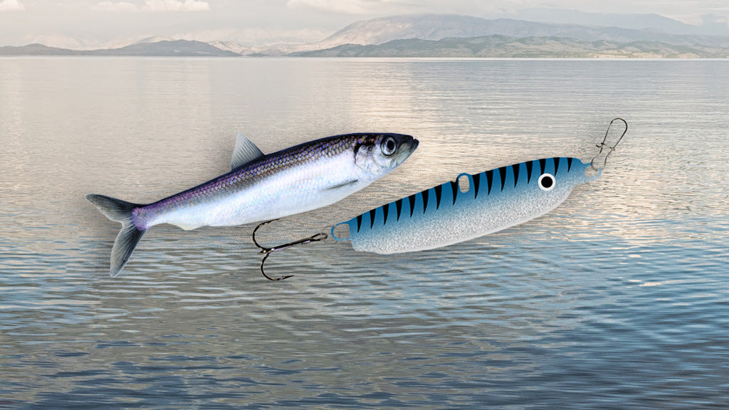 The Story of the Sonic Bait Fish Lure - Part 3 — Mack’s Lure Tackle