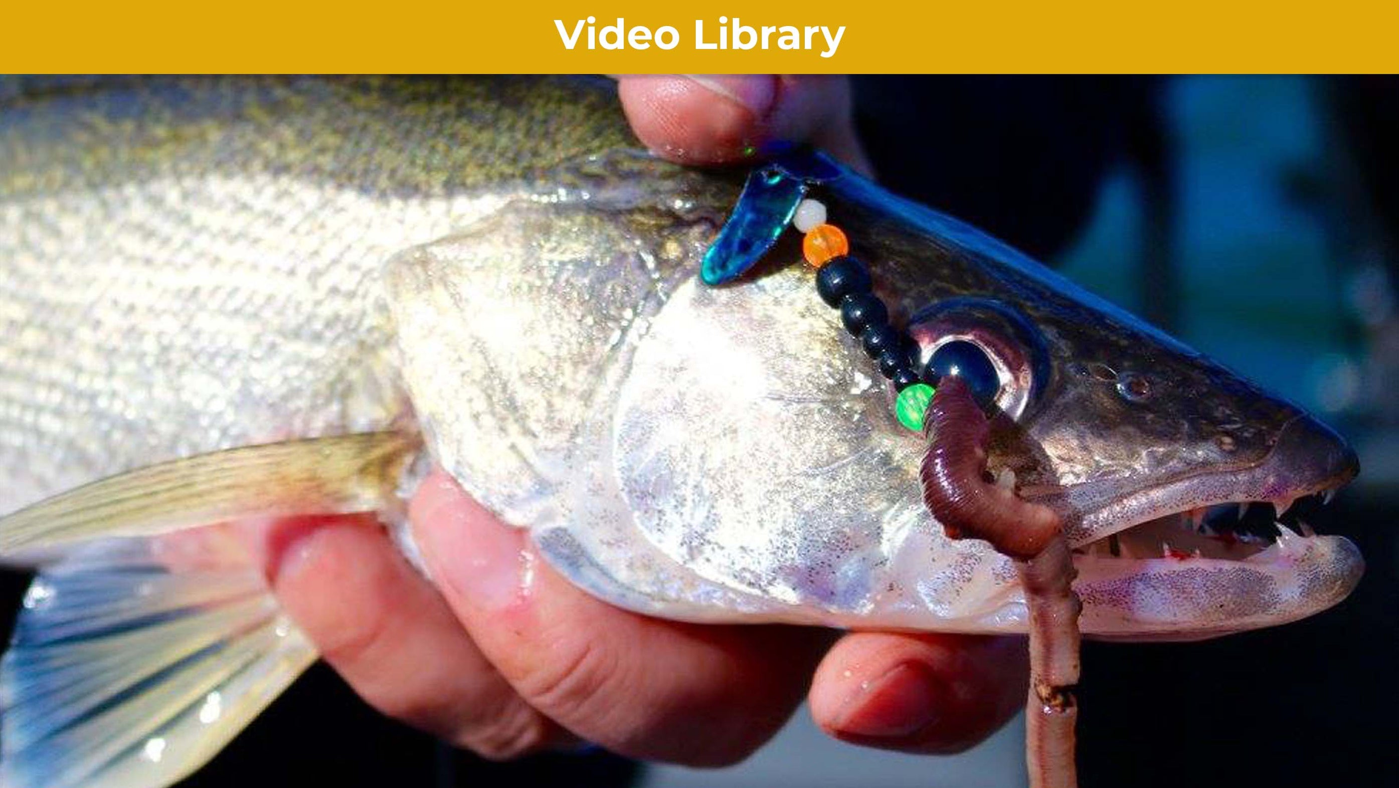 NWO: Walleye Fishing on Potholes Reservoir — Mack’s Lure Tackle