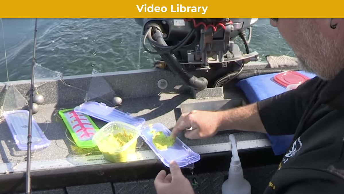 Fall Chinook Salmon on the Columbia River — Mack’s Lure Tackle