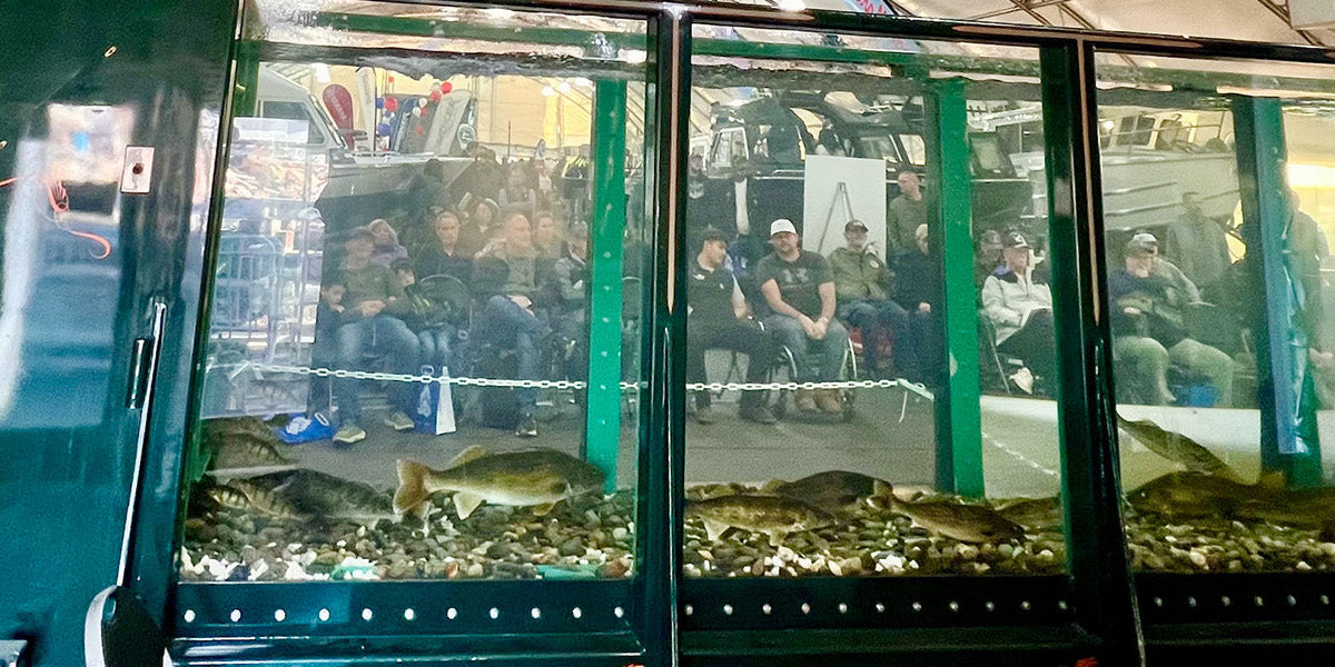 Behind the Glass: Preparing the Mack’s Lure Walleye Tank — Mack’s Lure ...