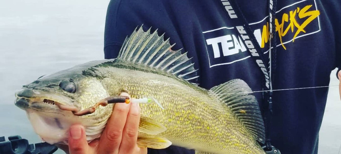 The Science of Barometric Pressure on Fall and Winter Walleye — Mack’s ...