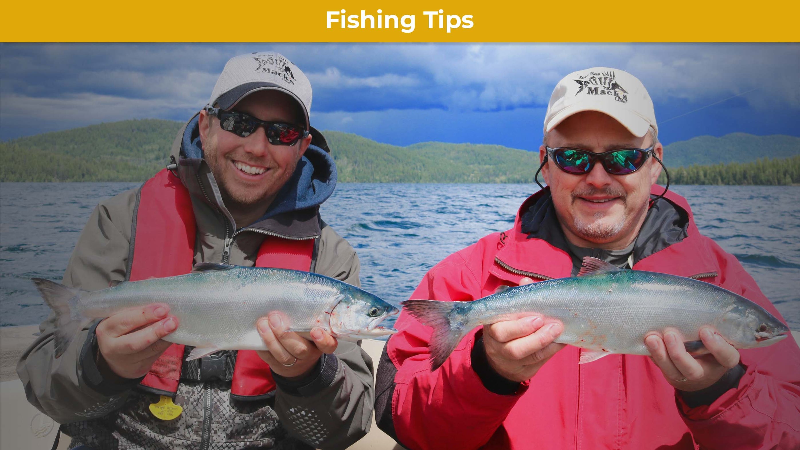 Expert Tips: What Makes Kokanee Attack a Lure — Mack’s Lure Tackle