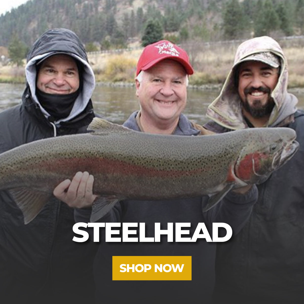 Shop Steelhead Lures — Mack’s Lure Tackle