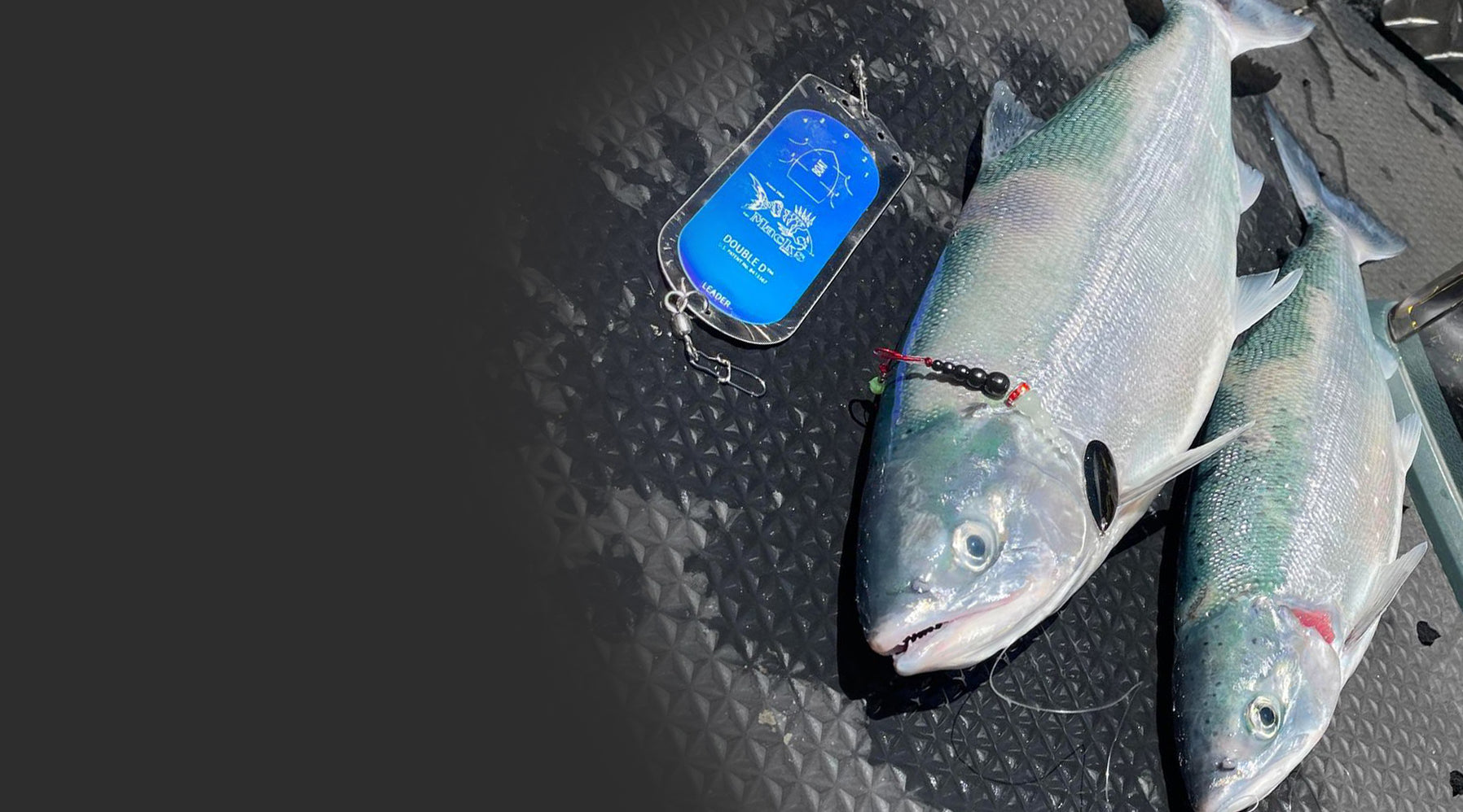 Official Home — Mack’s Lure Tackle